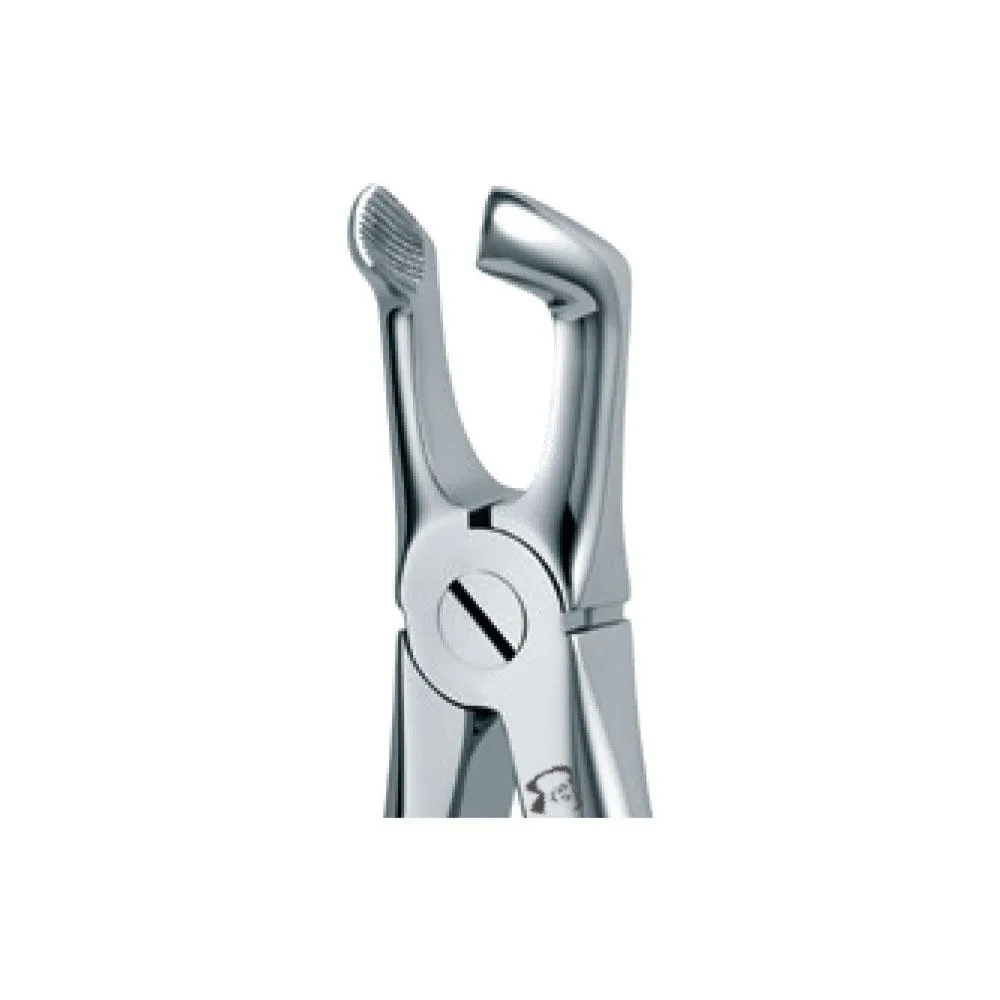 Dental Extraction Forceps 79A, Standard Handle - SOUQ DENTAL